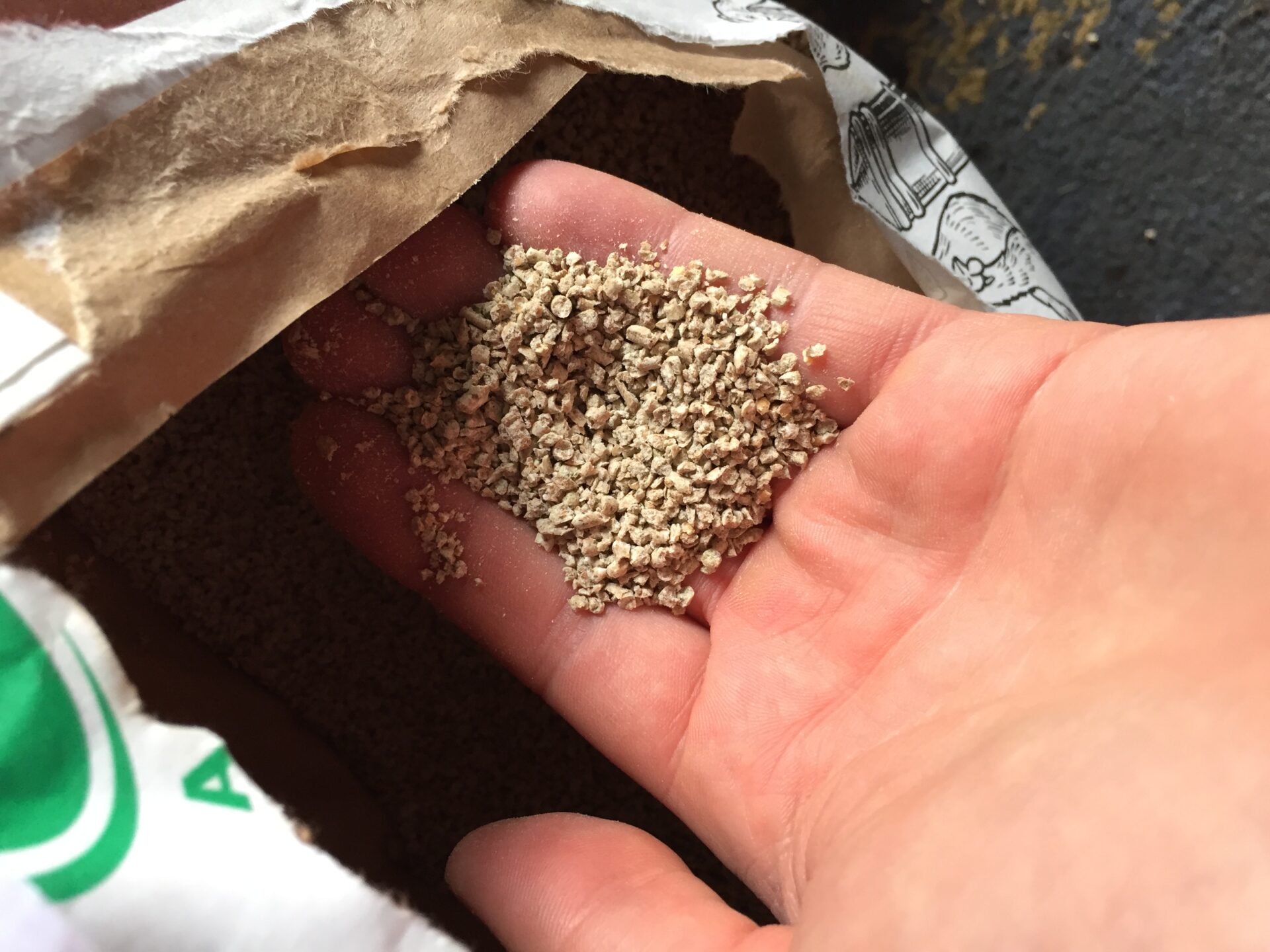 Chicken Feed Explained – When And What To Feed Your Chickens