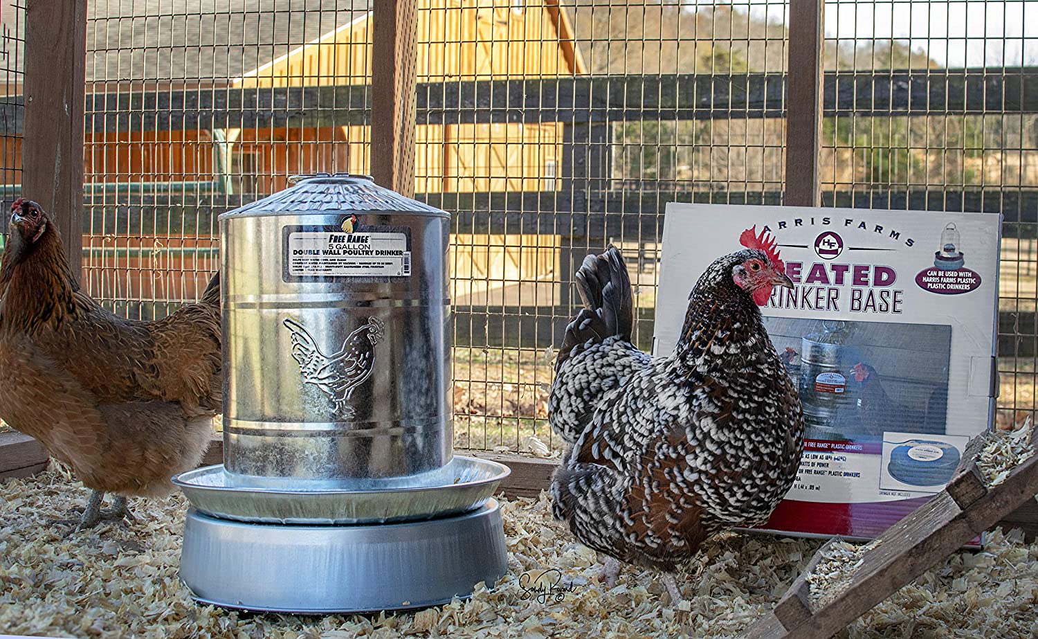 Heated Chicken Waterer - Whats Best & Running Costs